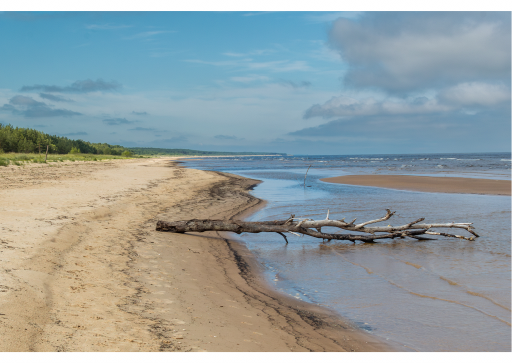 Vienos dienos kelionė į Jūrmalą. Ir pailsėti, ir pamatyti!